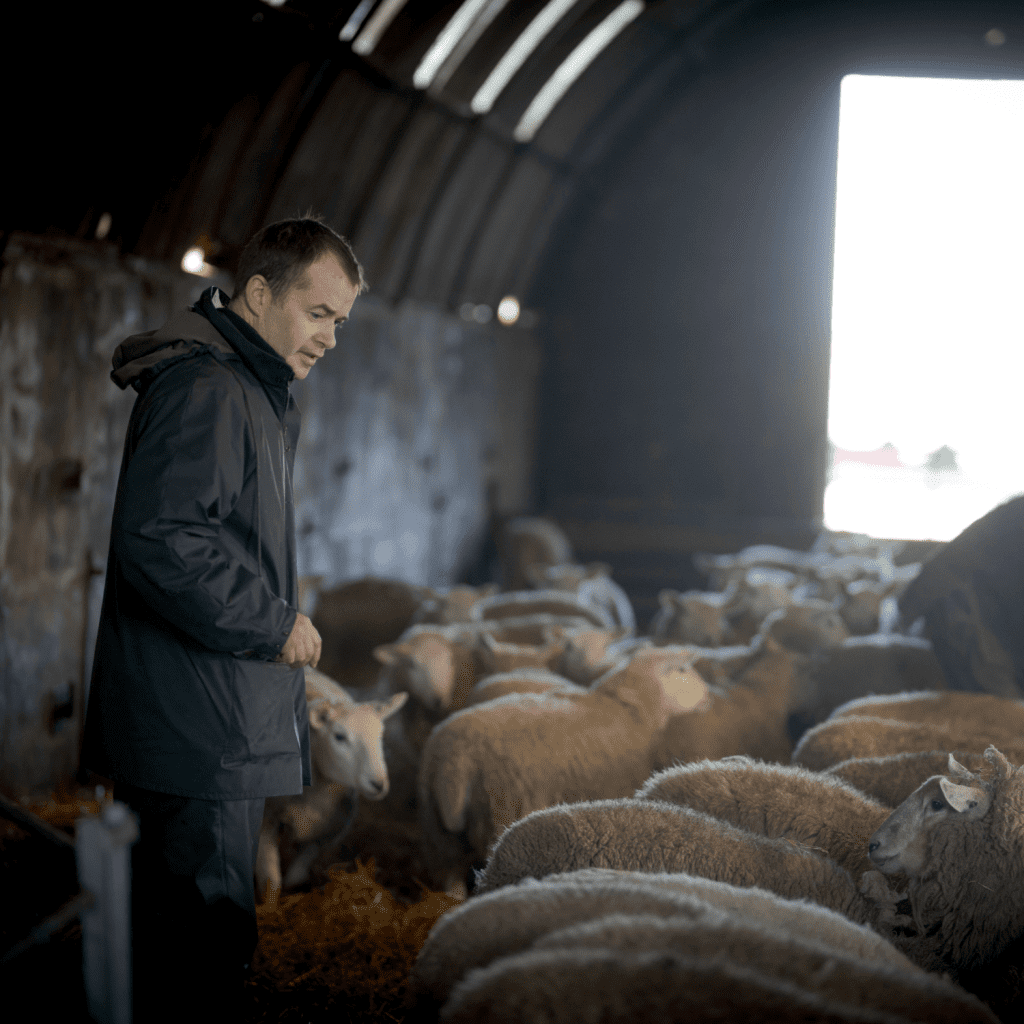 Farm animal – Northvet